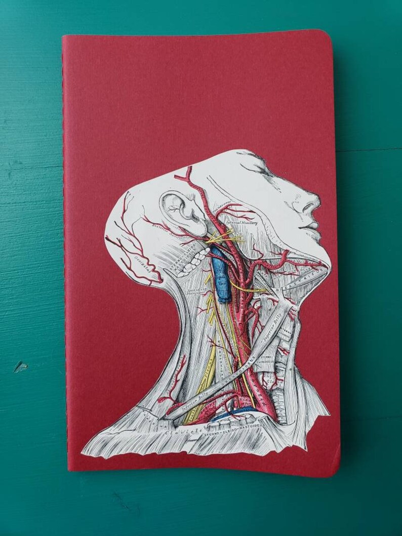 Anatomy Notebooks Unlined Vintage Illustration One-of-a-kind Cover ...