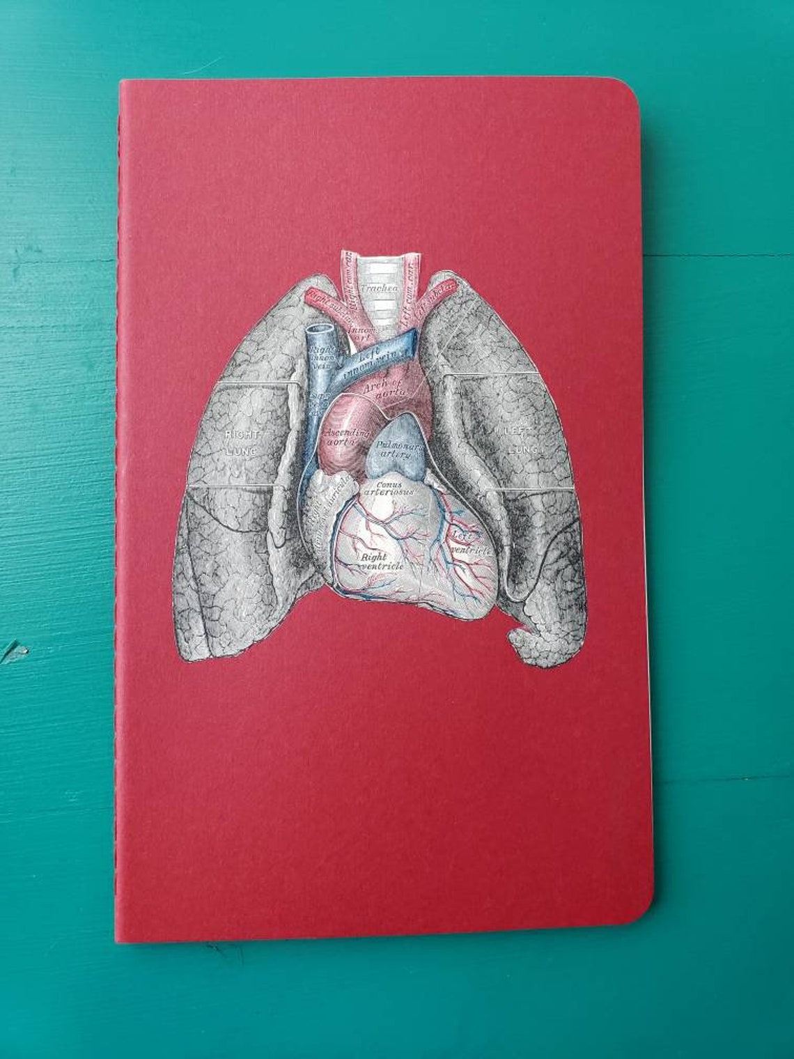 Anatomy Notebooks Unlined Vintage Illustration - Etsy