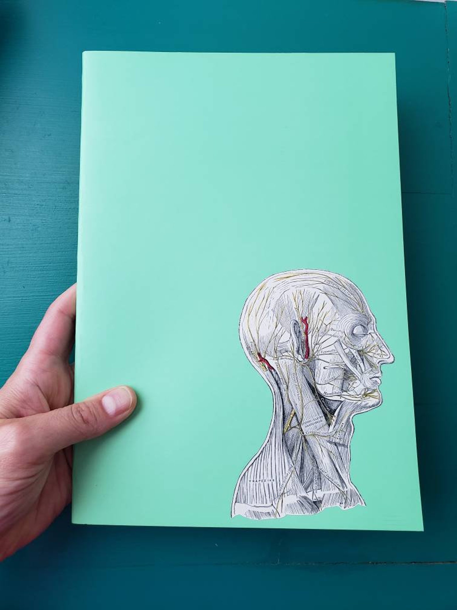 Anatomy Notebooks Unlined Vintage Illustration One-of-a-kind Cover ...