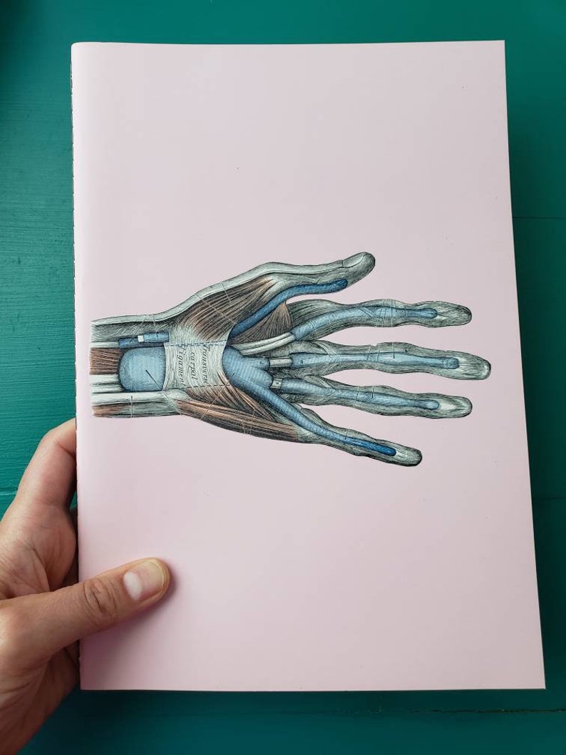 Anatomy Notebooks Unlined Vintage Illustration - Etsy