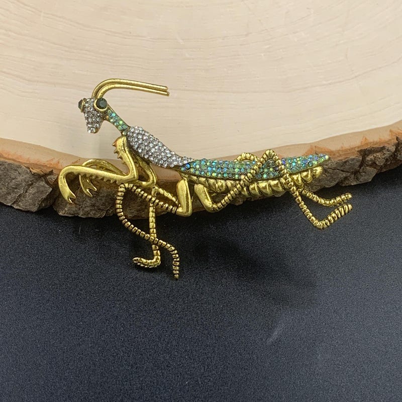 Praying Mantis Pin - Etsy