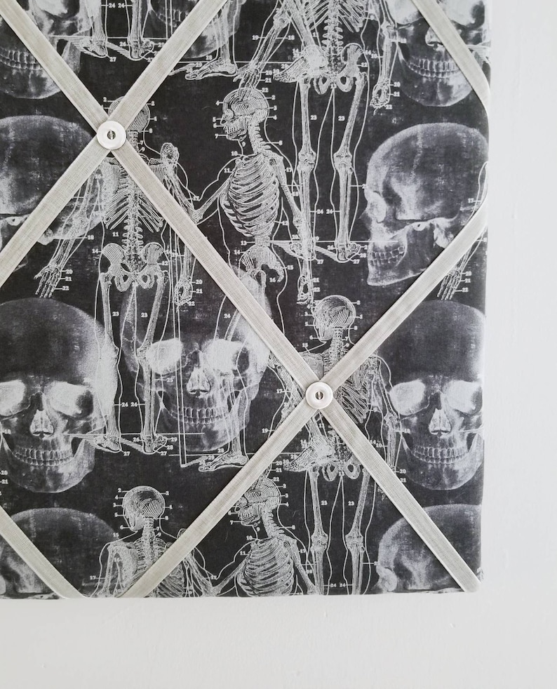 Skeleton Memo Board - Xray Vision Board - Anatomy Wall Organizer ...