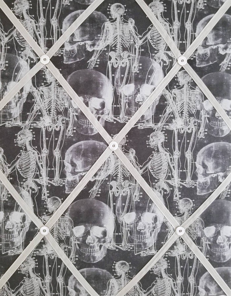 Skeleton Memo Board - Xray Vision Board - Anatomy Wall Organizer ...