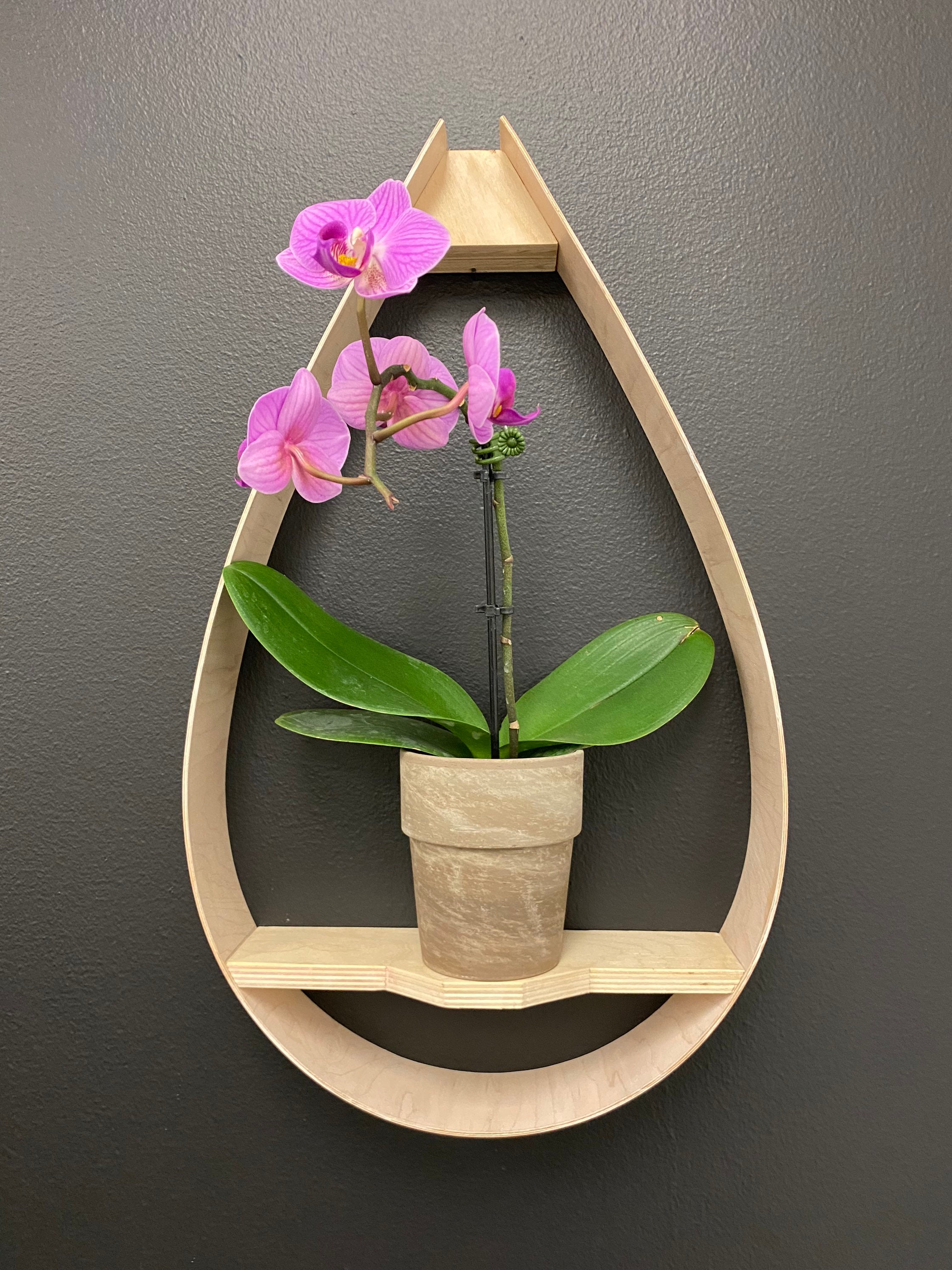 Wall Floating Plant Hanger Hanging Flower Shelf Gift for - Etsy