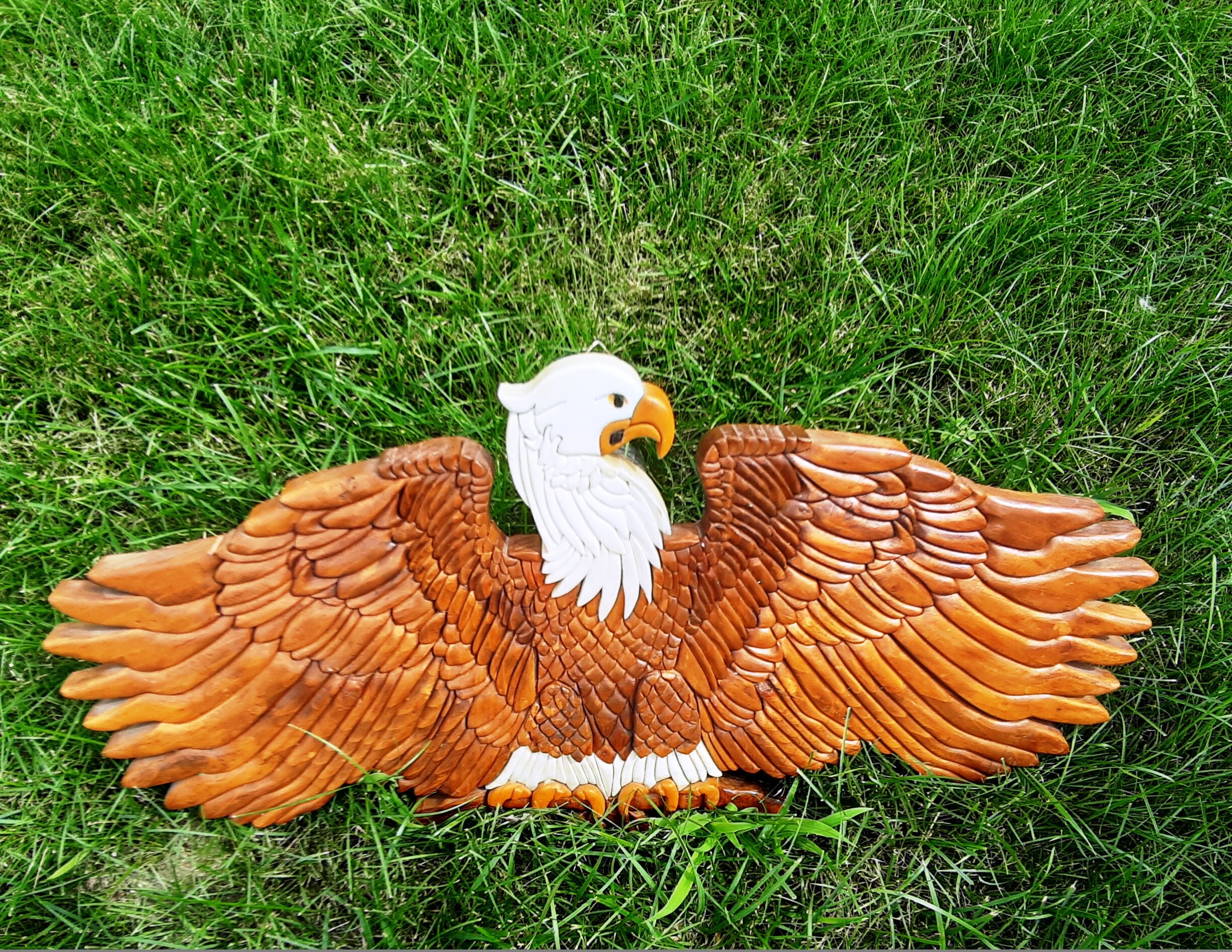 Natural Wood 3D Eagle.Hand made Contains 508 segments of | Etsy