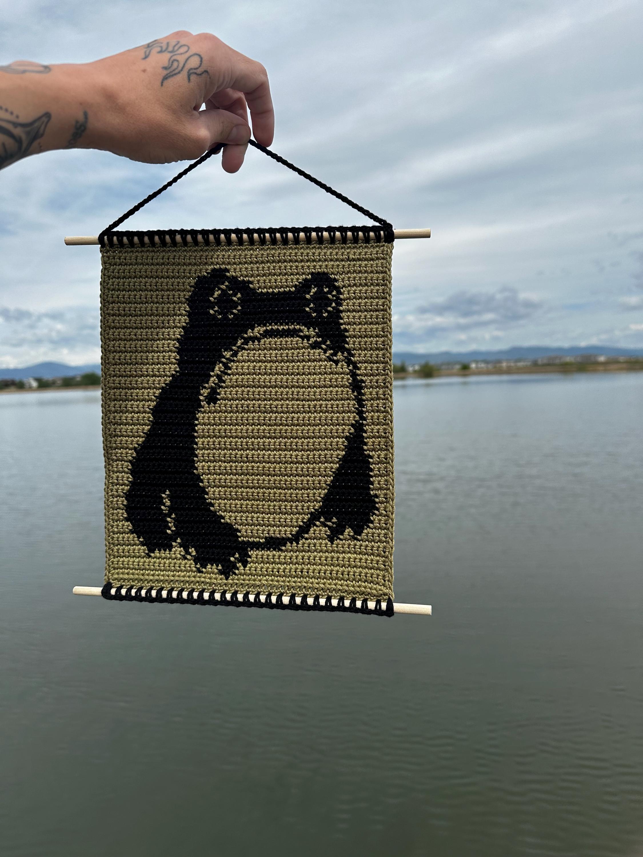 Hoji Frog Crochet Tapestry Pattern / Color Block / Written ...