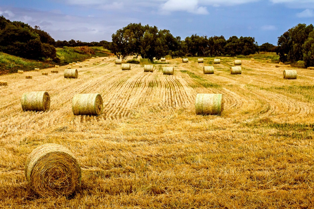 Hay Bales - Etsy