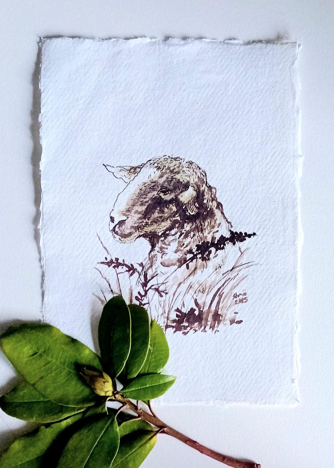 Original Ink Sheep Drawing,artwork,ink Drawing on Hsndmade Paper,gift ...