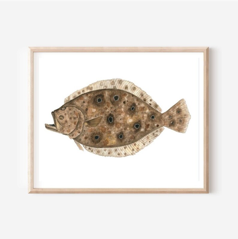 Flounder Watercolor Print, Flounder Art, Flounder Artwork, Flounder ...