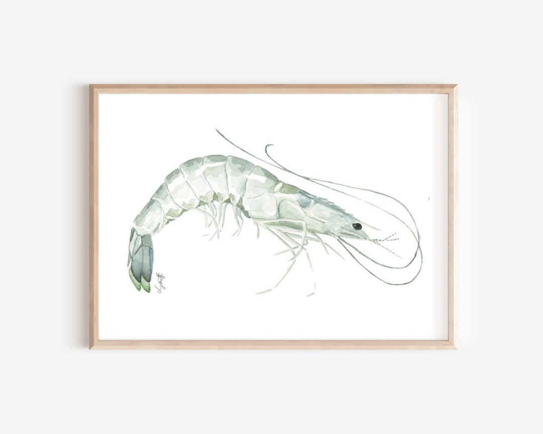 Shrimp Watercolor Print, Shrimp Print, Shrimp Artwork, Shrimp Painting ...