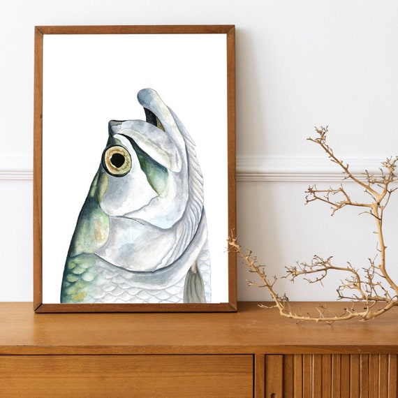 Tarpon Head Art Tarpon Head" Art Print For Sale By Michael Garber
