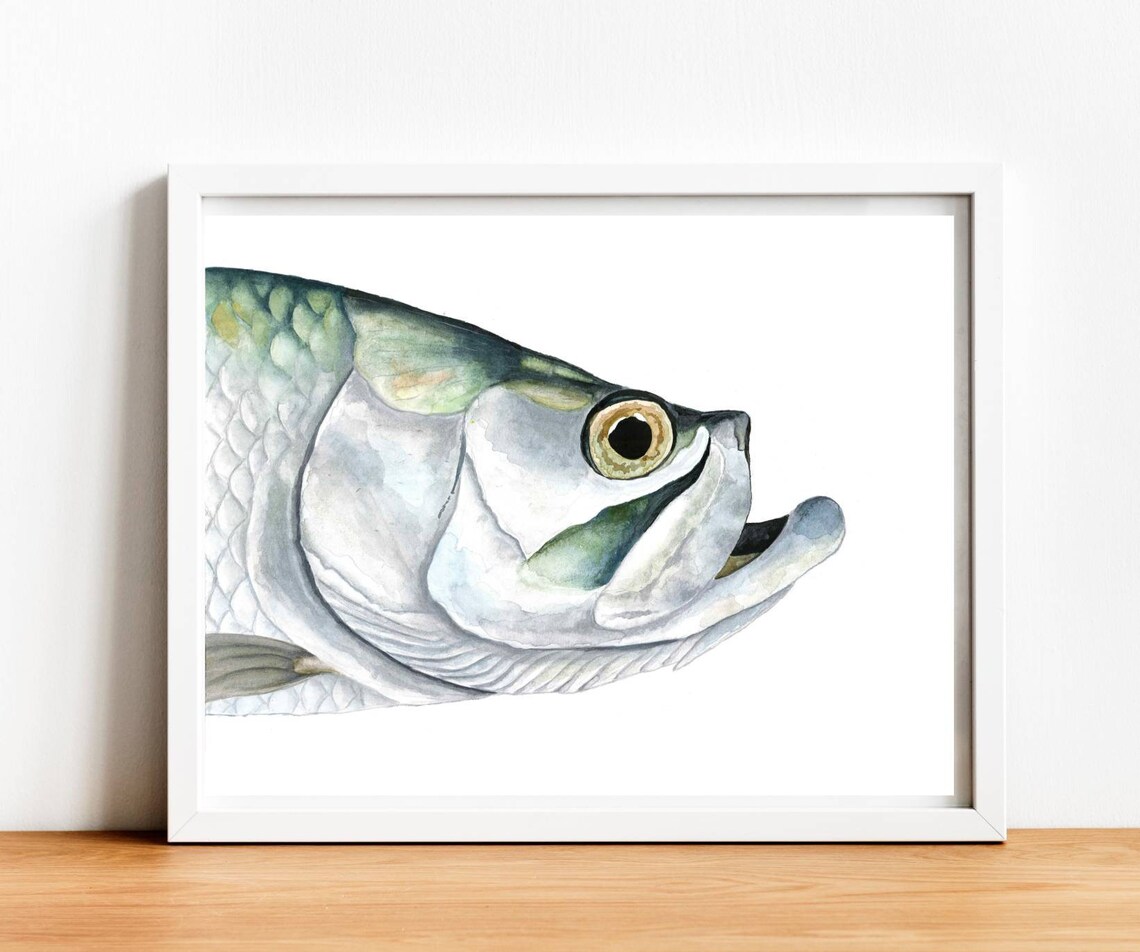 Tarpon Watercolor Print, Tarpon Art, Tarpon Head Watercolor Print ...