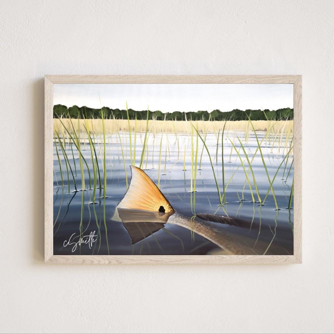 Red Drum PRINT, Redfish Art, Tailing Red, Red Drum Tail Painting ...