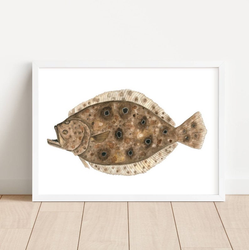 Flounder Watercolor Print, Flounder Art, Flounder Artwork, Flounder ...