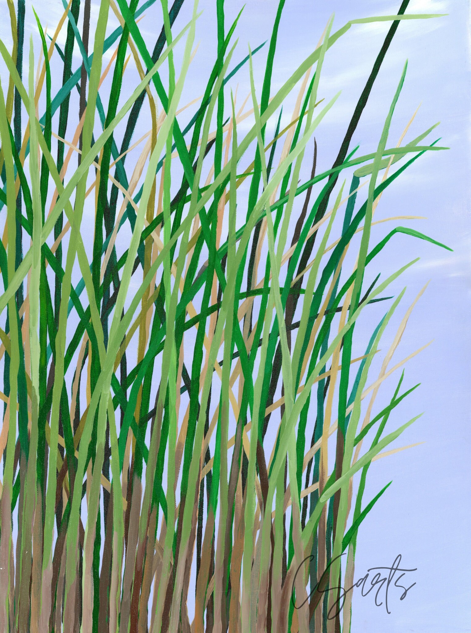 Marsh Grass Print, Marsh Grass Artwork, Marsh Grass Painting, Marsh ...