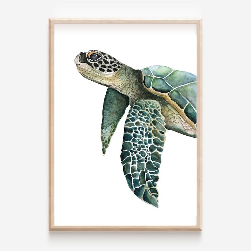 Turtle Art - Etsy