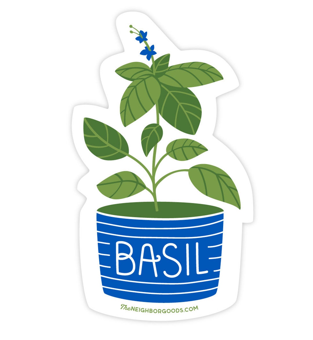 Basil Sticker, Food Sticker, Sticker, Vinyl Sticker, Herb Sticker - Etsy