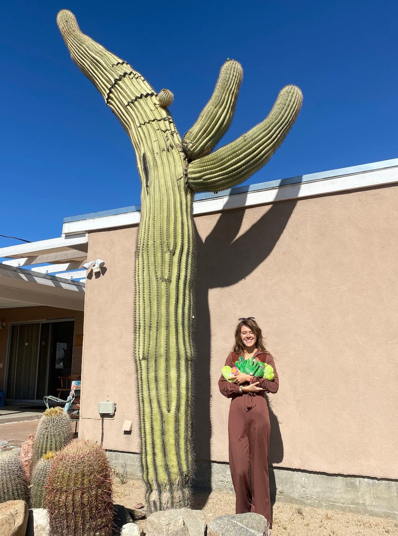 Flora Cactus Plush - Etsy