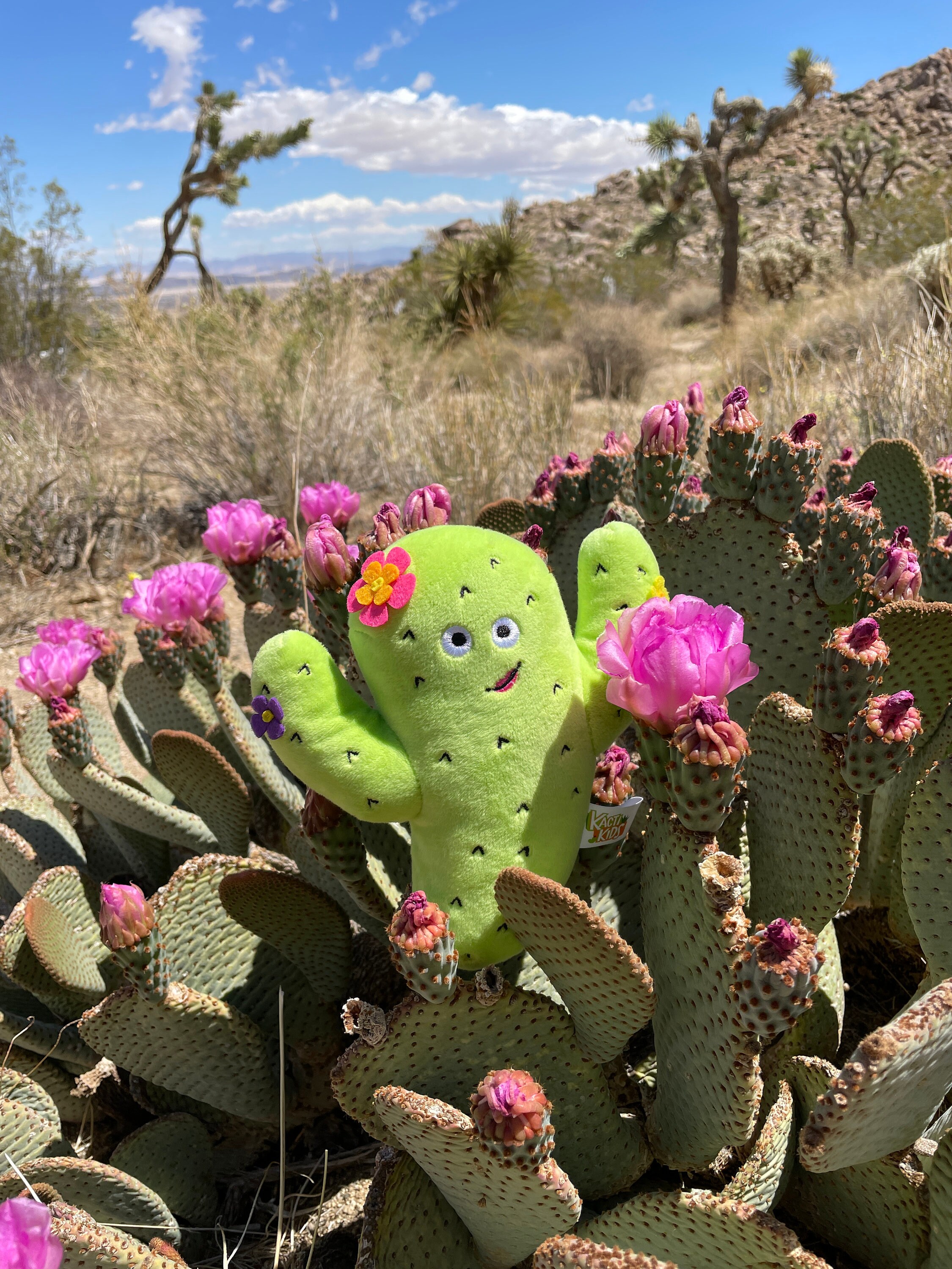 Flora Cactus Plush - Etsy