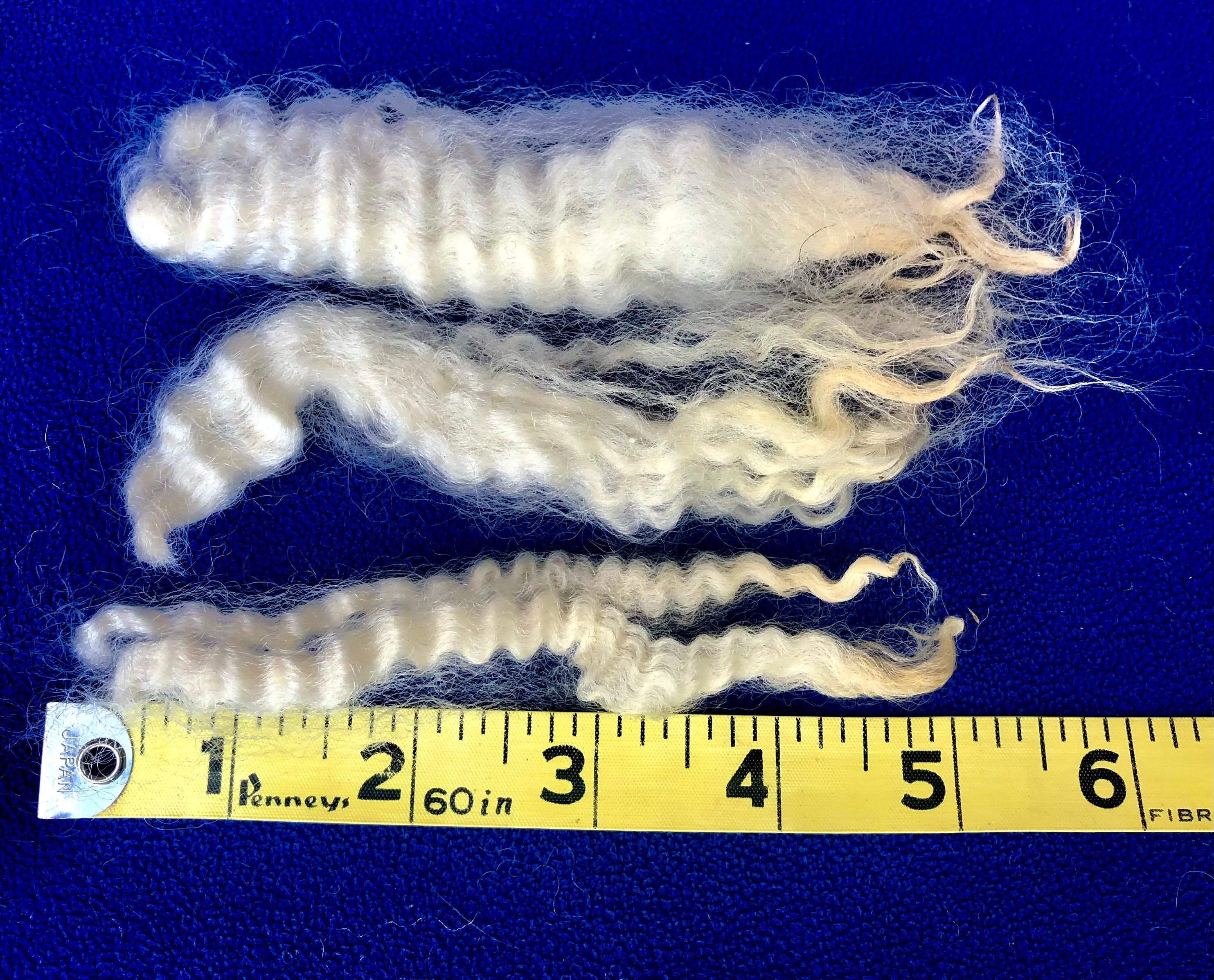 Silky Romney Lamb Fleece: Hand Pulled Curls for Spinning, Weaving ...