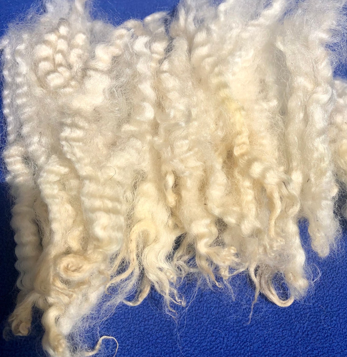 Silky Romney Lamb Fleece: Hand Pulled Curls for Spinning, Weaving ...