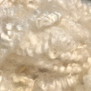 Silky Romney Lamb Fleece: Hand Pulled Curls for Spinning, Weaving ...