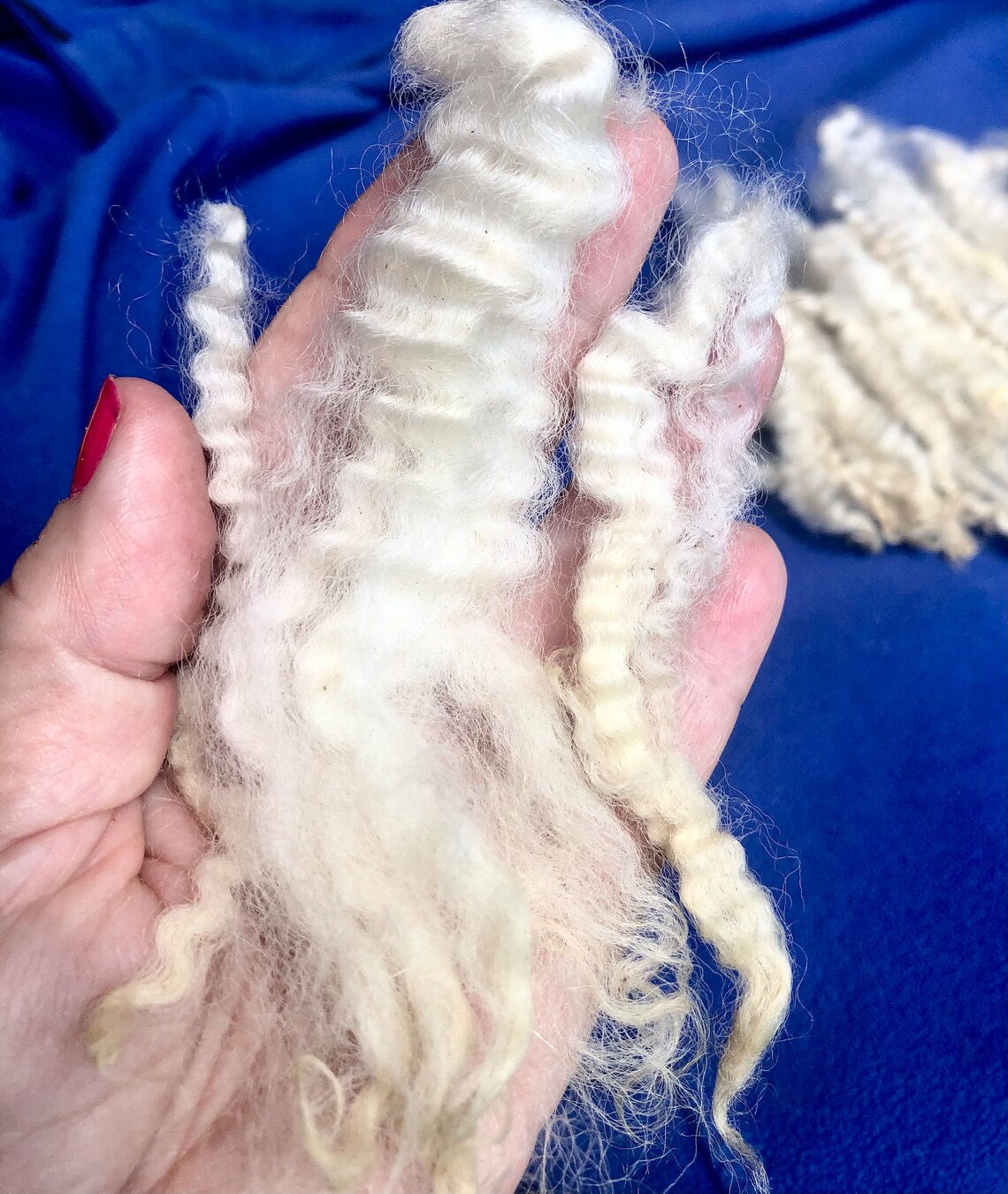 Silky Romney Lamb Fleece: Hand Pulled Curls for Spinning, Weaving ...