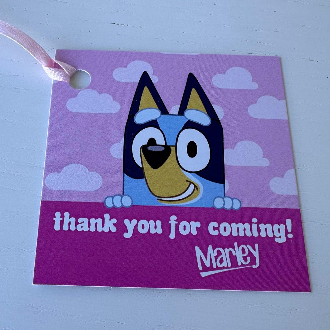 Bluey Birthday Thank You Favor Tags, Personalized Party Cards (set of ...