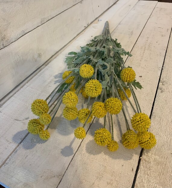 Floral Spray Yellow Pom Pom Flower Bush Farmhouse Floral Pick | Etsy
