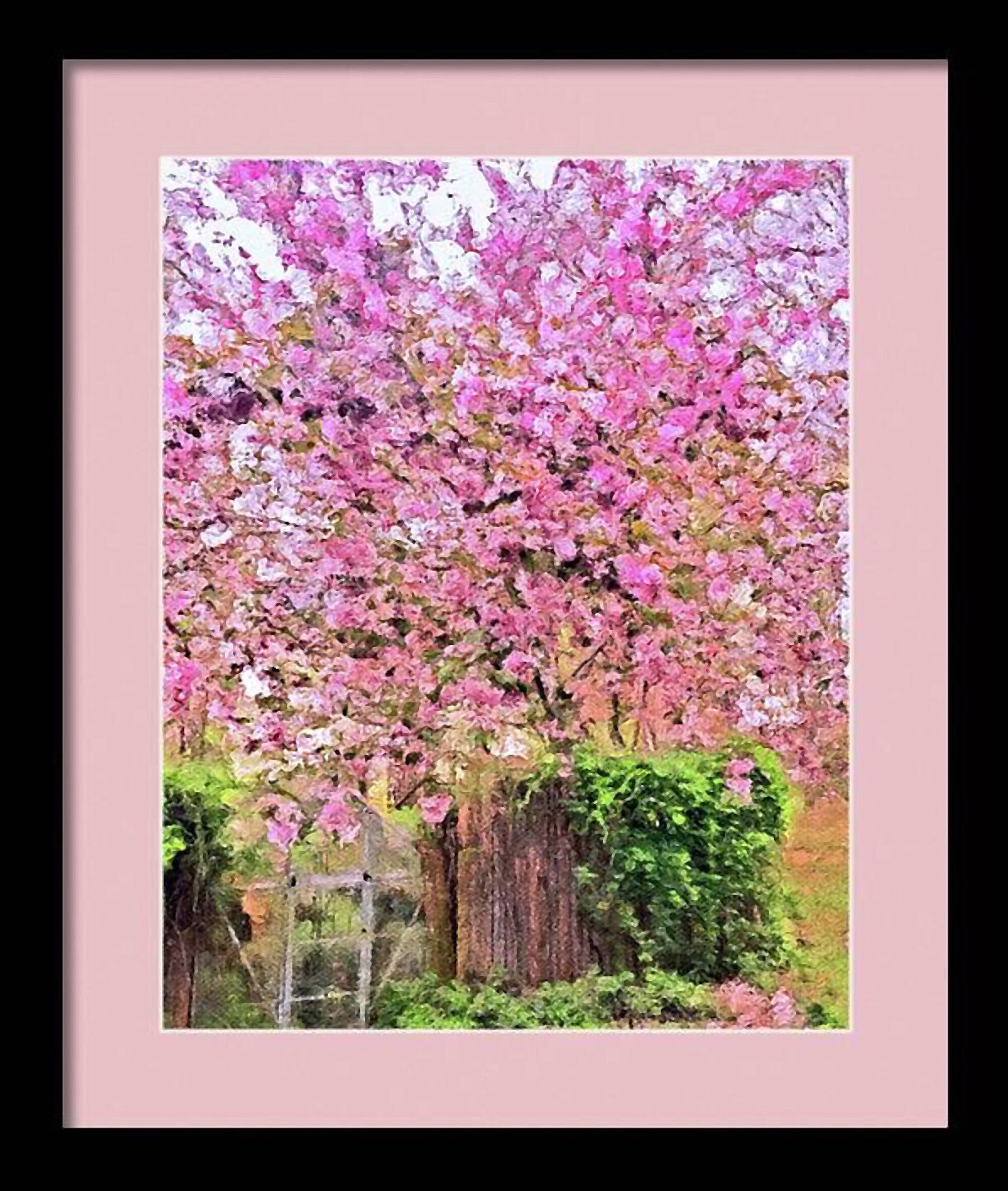 Flowering Cherry Tree and Greenhouse Framed Garden Landscape | Etsy