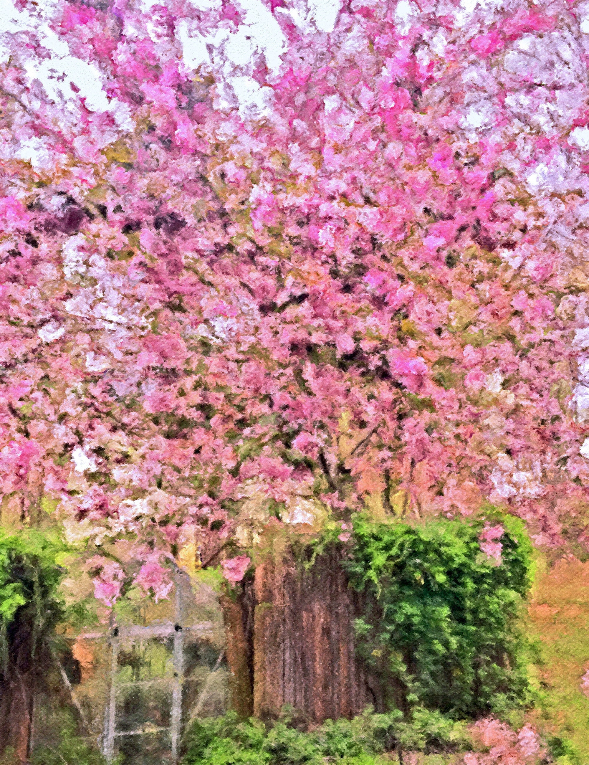 Flowering Cherry Tree and Greenhouse Framed Garden Landscape | Etsy