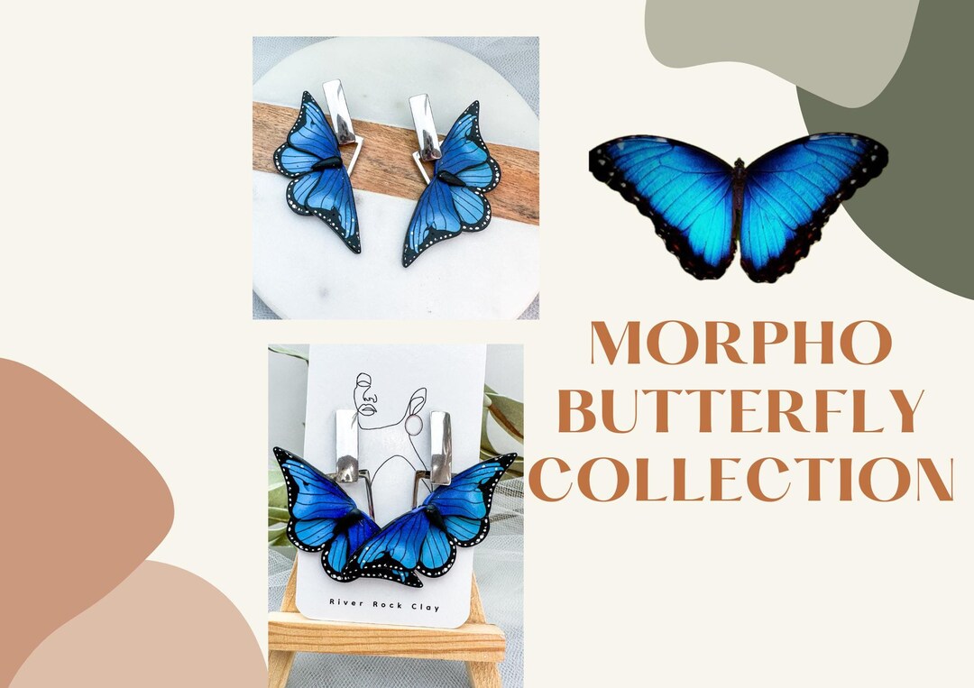 Morpho Butterfly Collection - Etsy