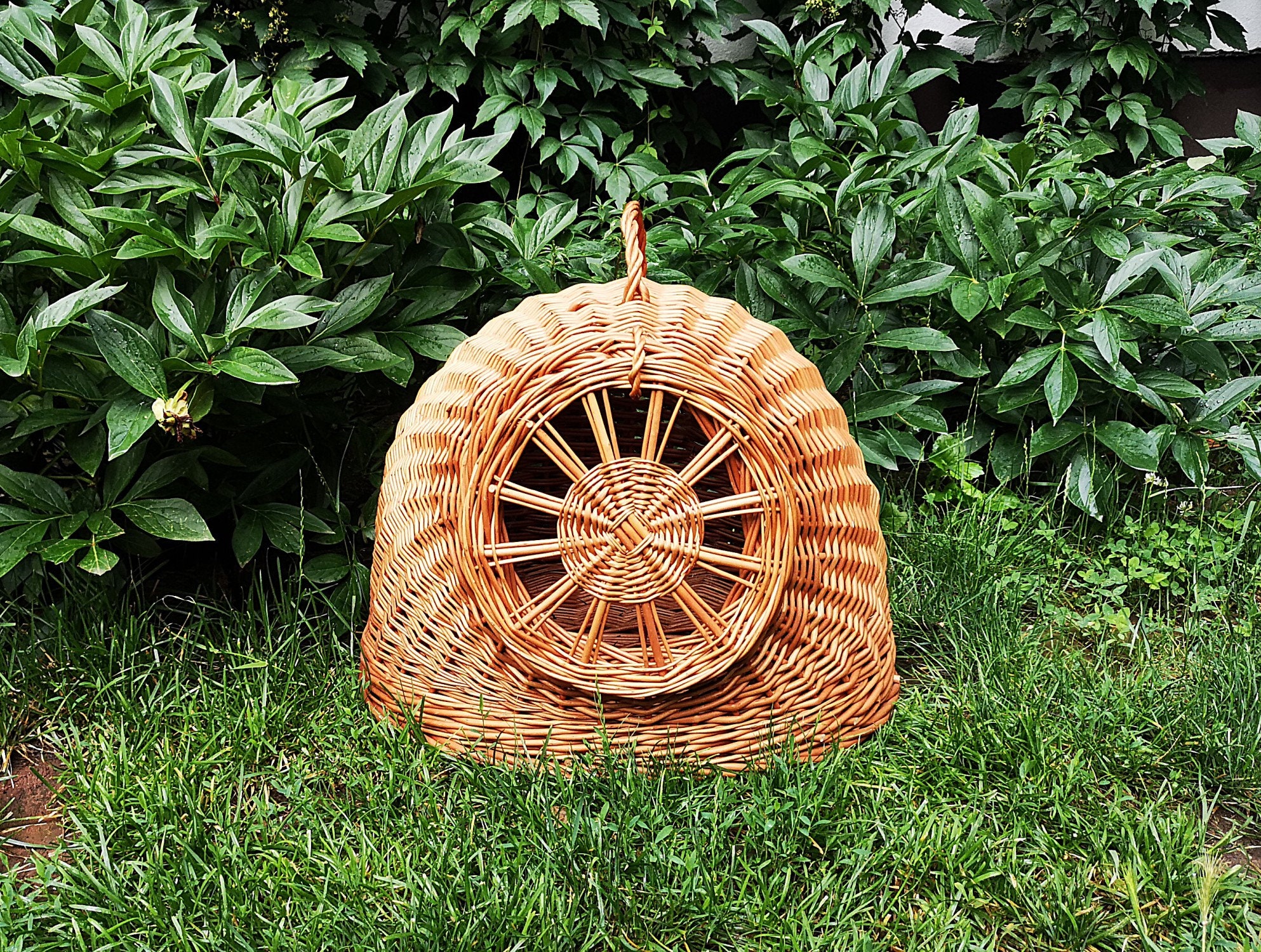 Wicker Cat Bed Cat Cave Wicker Cat Basket Wicker Cat House - Etsy Australia