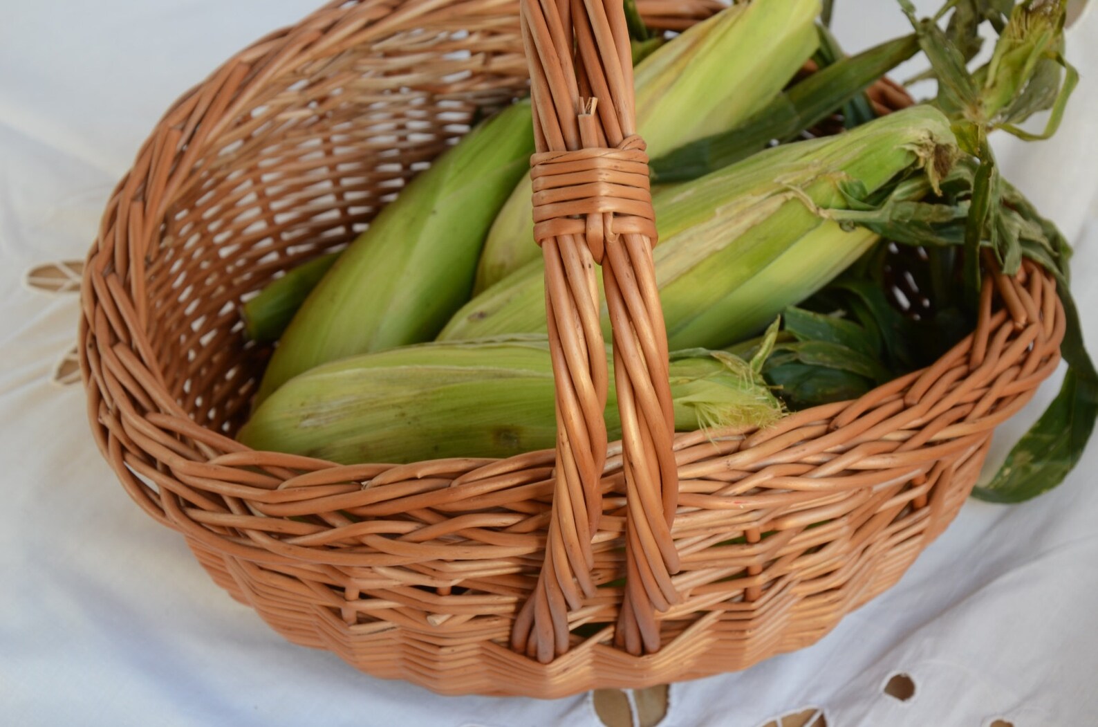 Oval Basket Handmade Wide Wicker Basket Rustic Wicker | Etsy