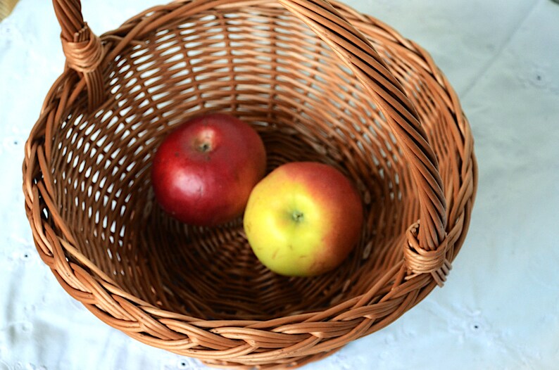 Elegant Gift Basket Shallow Round Basket Flower Display - Etsy