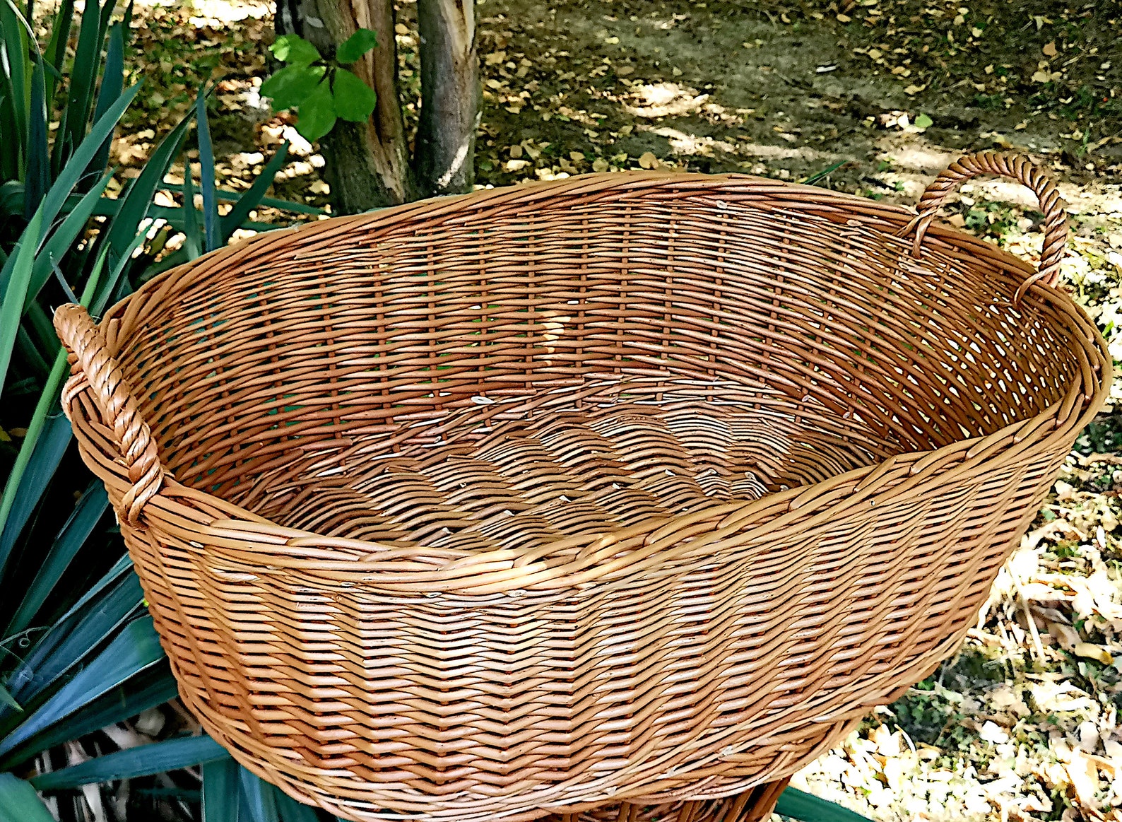 Shallow Laundry Basket, Handwoven Storage Basket, Oval Laundry Basket ...
