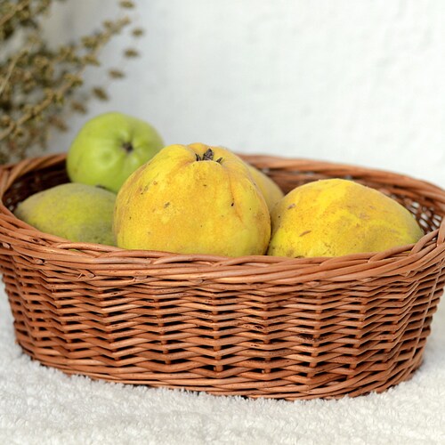 Small Oval Basket Woven Bread Basket Wicker Table Basket - Etsy