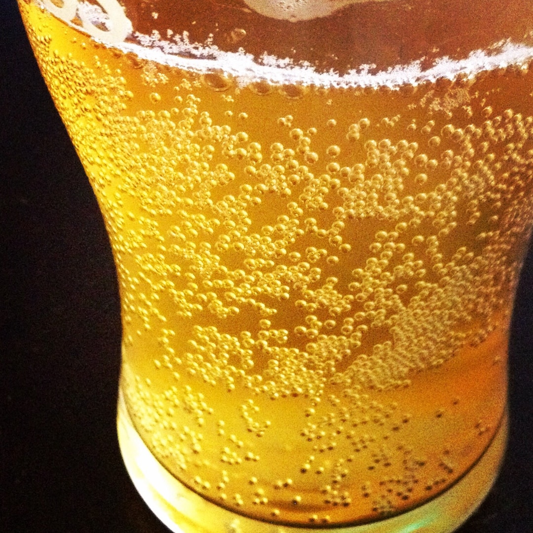 Kombucha + Water Kefir Starter Pack Organic Live Cultures - Etsy