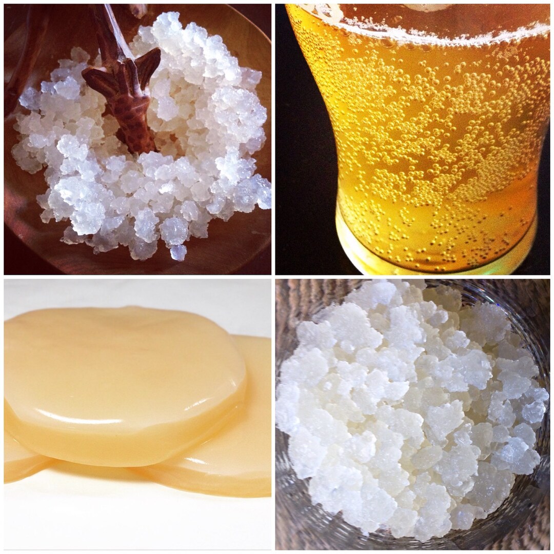 Kombucha Water Kefir Starter Pack Organic Live Cultures - Etsy