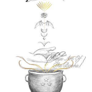 SJM Series 3, Acotar, A Court of Thorns and Roses, Throne of Glass ...