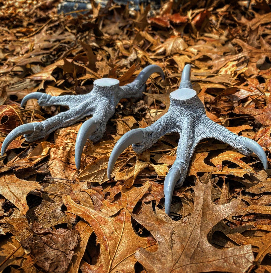 Rough Legged Hawk Replica Feet - Etsy