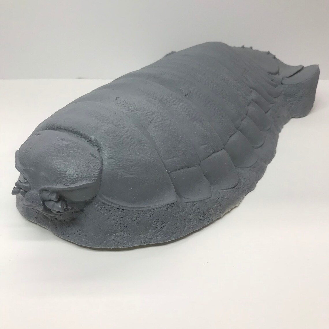 Giant Isopod Replica grey - Etsy