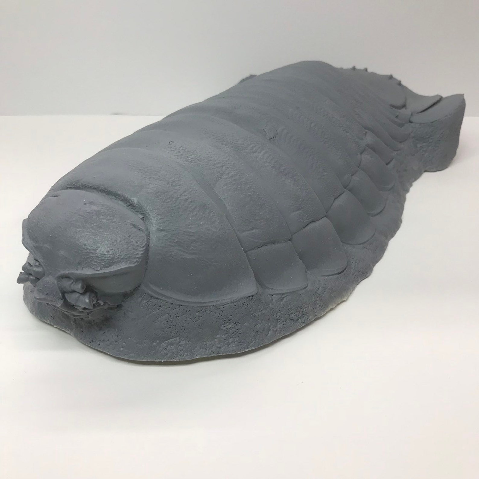 Giant Isopod Replica grey - Etsy