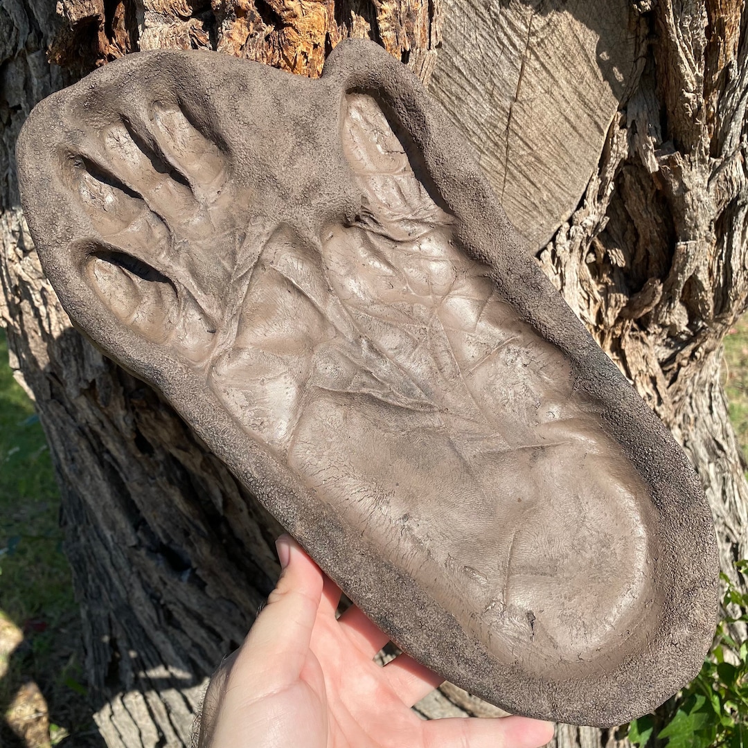 Lake Worth Monster Footprint Cast - Etsy