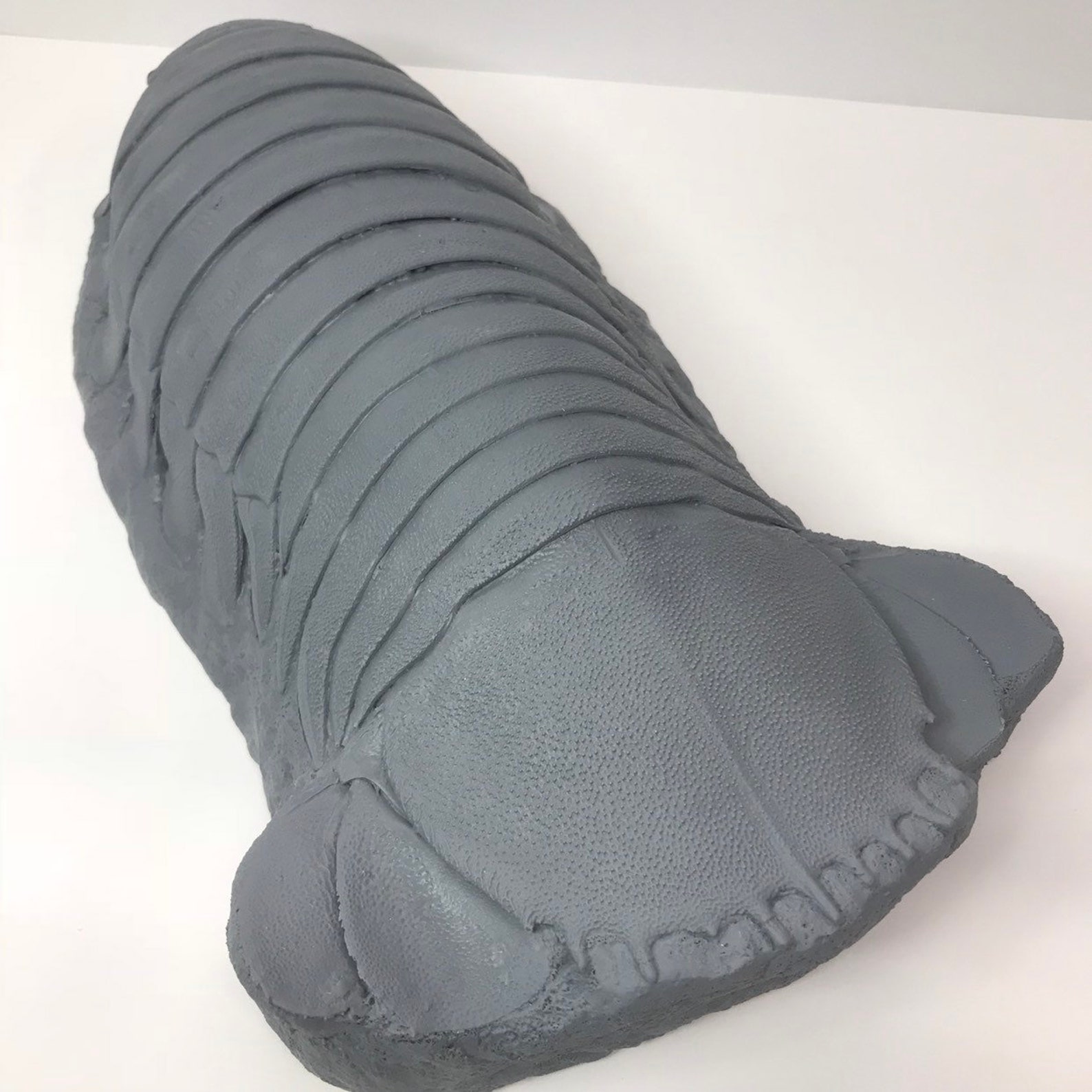 Giant Isopod Replica grey - Etsy