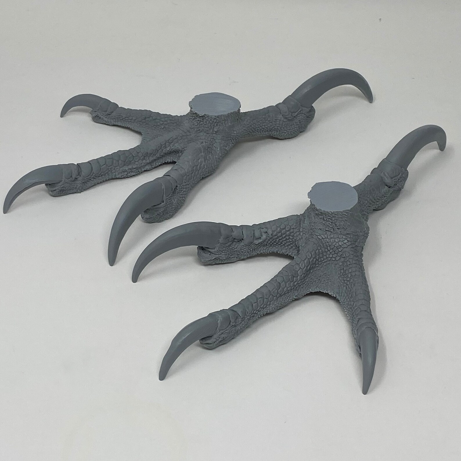 Rough Legged Hawk Replica Feet - Etsy