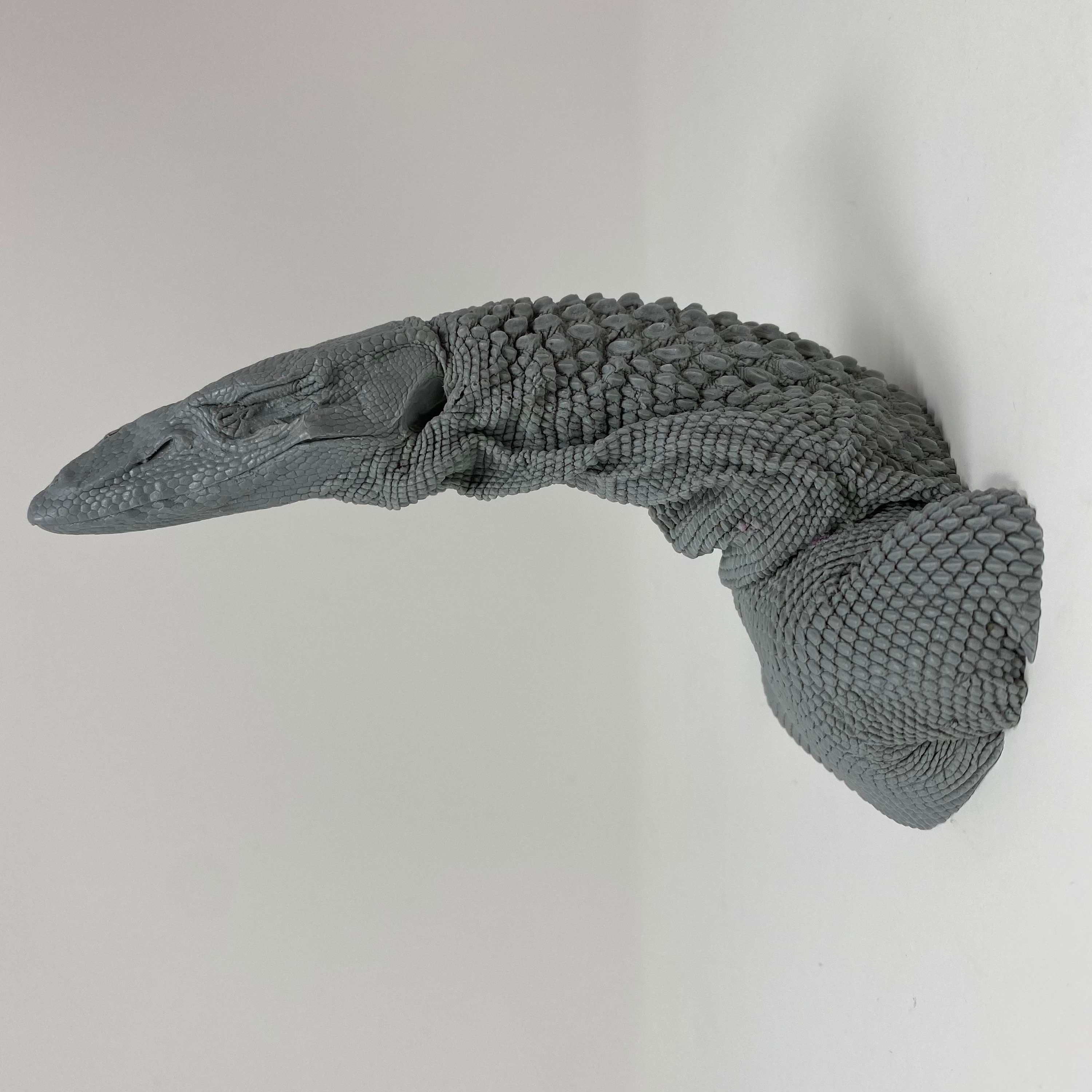 Black Roughneck Monitor Lizard Deathcast | Etsy