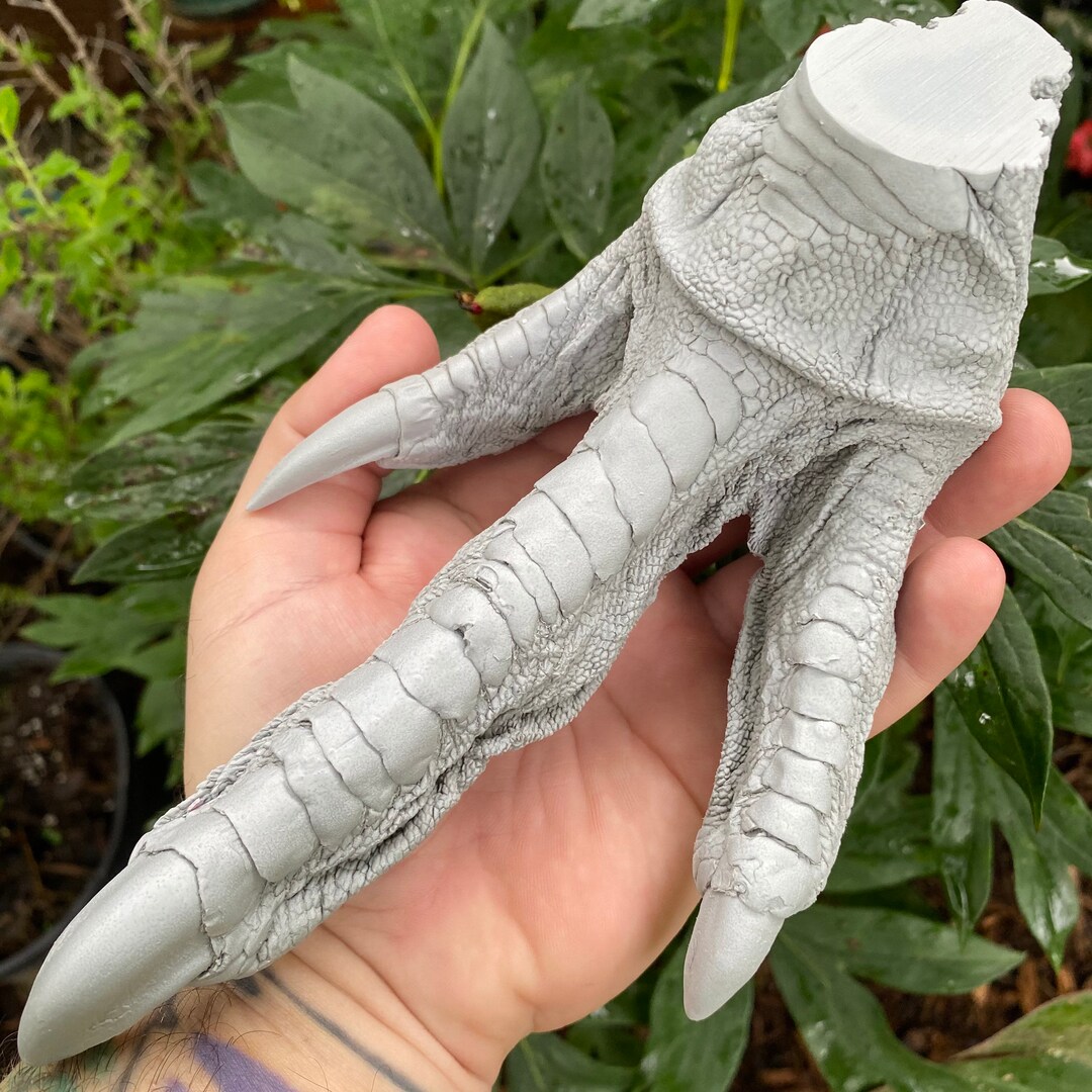 Emu Foot Replica - Etsy