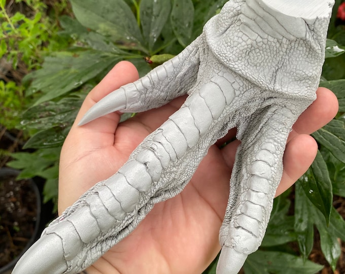 Emu Foot Replica - Etsy