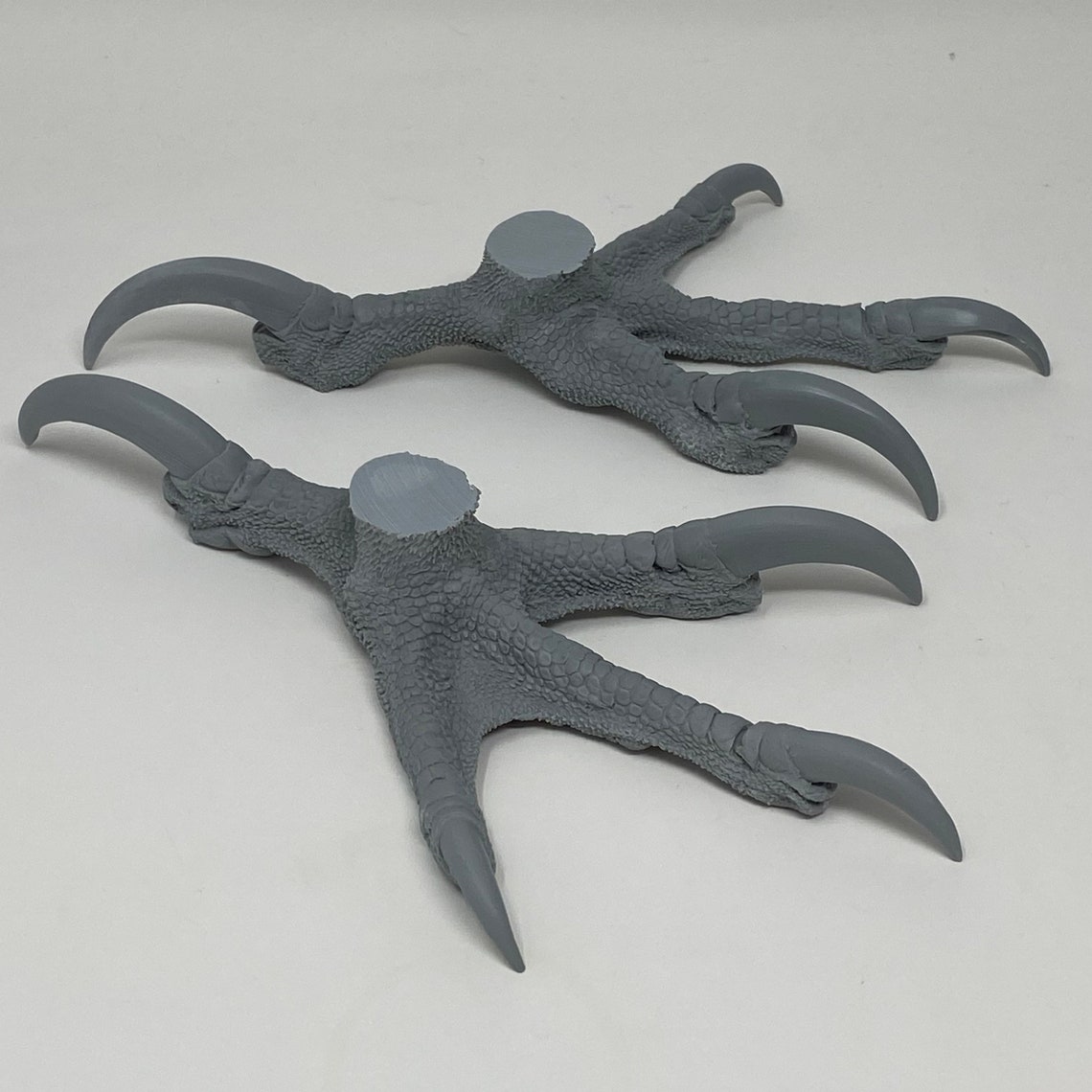 Rough Legged Hawk Replica Feet - Etsy